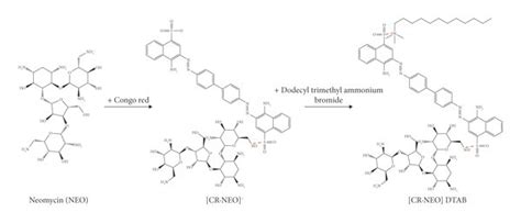 The Reaction Process Of Neomycin Detection Download Scientific Diagram