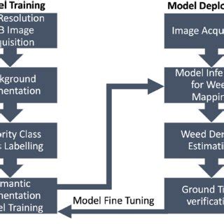 PDF Weed Detection In Canola Fields Using Maximum Likelihood