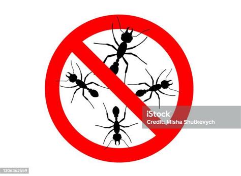 경고 기호 곤충없음 안티 개미 살충제에 대한 개미 벡터 기호가 없습니다 금지 된 기호 정보 및 기관 위생 및 관련 관리를 위한 기호입니다 주의 중지 경고 플랫 벡터 기호