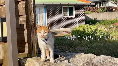 Sub 이사 Vlogㅣ15평 촌집에서 1년만에 도시 아파트로 이사 🚚 겨울 일상 Beautiful Daily Life 4k Youtube