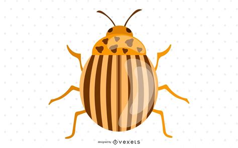 Colorado Potato Beetle Vector Download