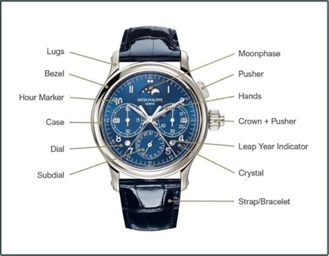 Watch Anatomy Identify Watch Parts Pragnell