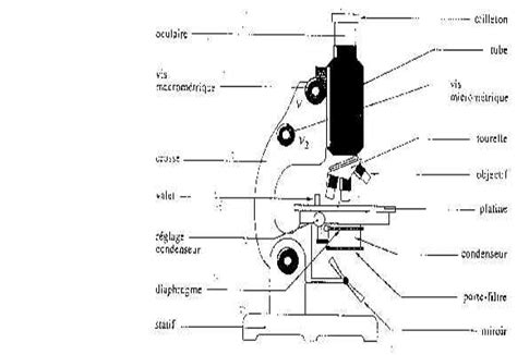 Schema Et Legende Dun Microscope