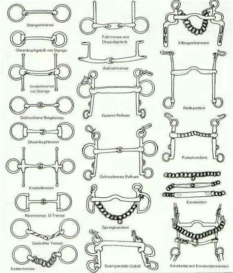 Bit By Bit A Helpful Illustrated Horse Bit Guide Artofit
