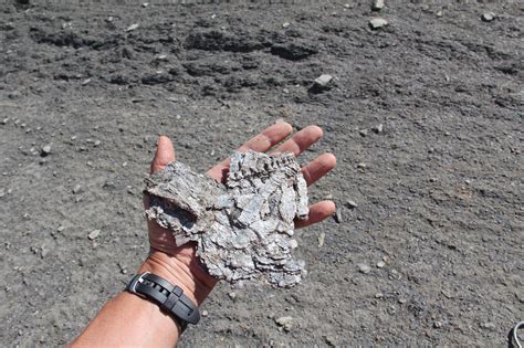 The Kansas Outback Fossils Sixth In A Series Of The Eight Natural Wonders Of The Red Hills