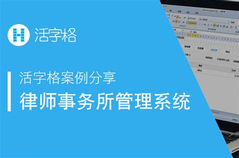 律师事务所管理系统用活字格快速开发