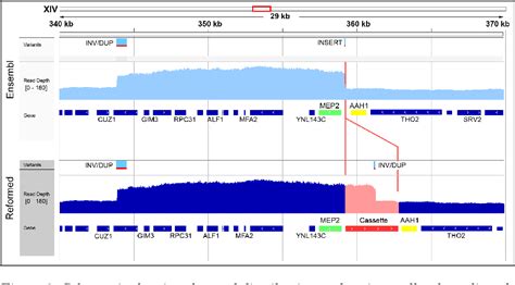 Figure 3 From Modifying Reference Sequence And Annotation Files Quickly