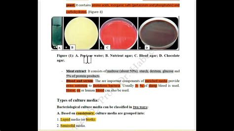 بكتريا تشخيصية محاضرة 6 Lecture 6 Cultivation And Isolation Of Viable