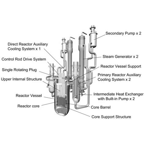 1 Pool Vs Loop Designs Of Liquid Metal Fast Breeder Reactors Wik07