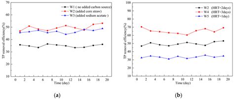 Effects Of Carbon Source And Hrt On Tp Removal A Carbon Source B