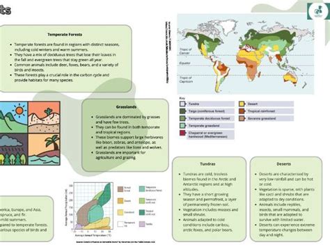 edexcel igcse geography knowledge organiser rural environments