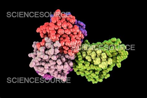 Cholera Toxin Molecule Illustration Stock Image Science Source Images