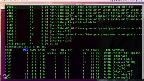 Procesos En Linux Gestión Y Control Eficientes