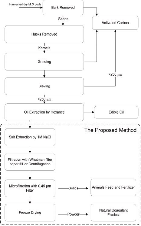 Proposed Production Process Flow Chart Download Scientific Diagram