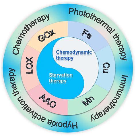 Schematic Diagram Of The Synergistic Anti Tumor Effect Of The Download Scientific Diagram