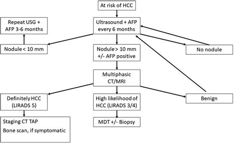 Fig 1 Imaging Referral Algorithm In Hepatocellular Carcinoma Hcc In At Risk Patients