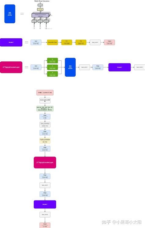Siglip模型介绍 知乎