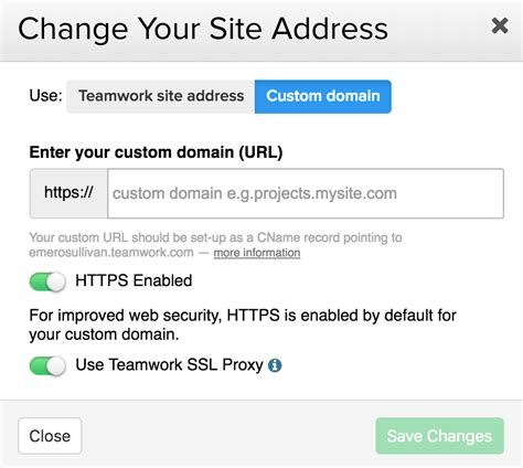 Using A Custom Domain Name For Your Site Teamwork Projects Support