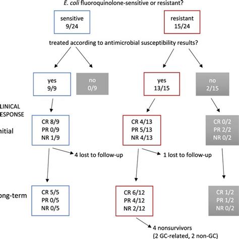 Random Amplified Polymorphic Dna Rapd ‐pcr Genotype Primer 1283 And Download Scientific