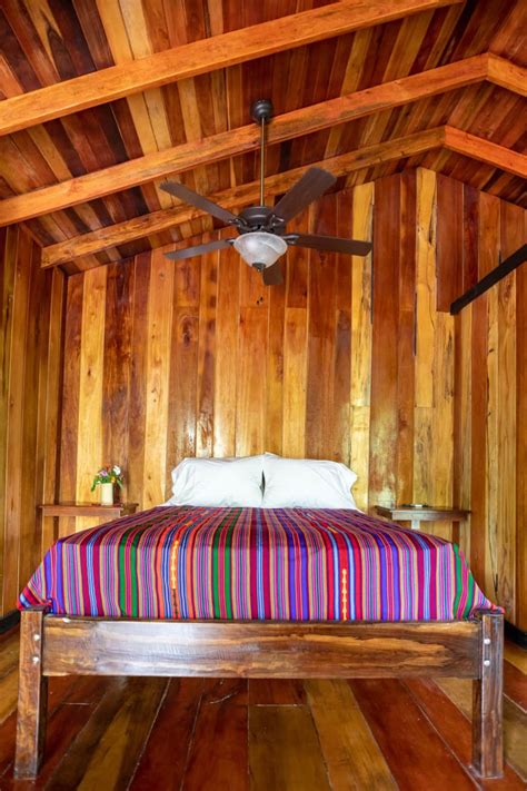 Toucan At Lost Compass Cabanas Bungalow In San Ignacio