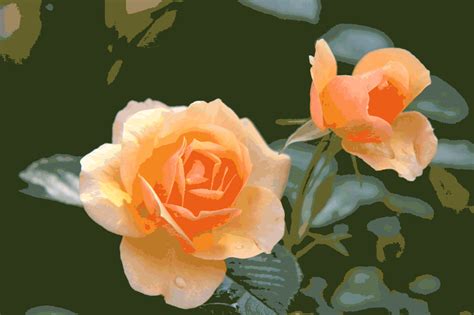 create new uiimage from freehand drawn line over uiimage swift