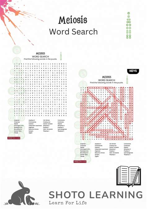 Meiosis Word Search Puzzle Engaging Biology Activity With 30 Key Terms