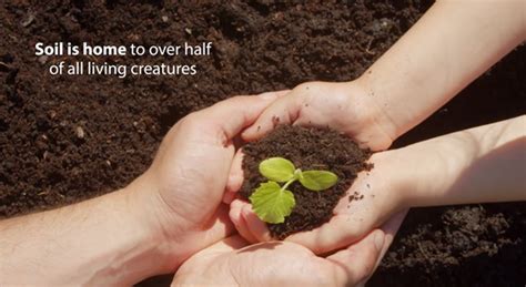 What Is The Mission Soil Mission Soil Platform