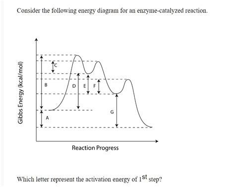 Solved Consider The Following Energy Diagram For An Enzyme Catalyzed Reaction Gibbs Energy