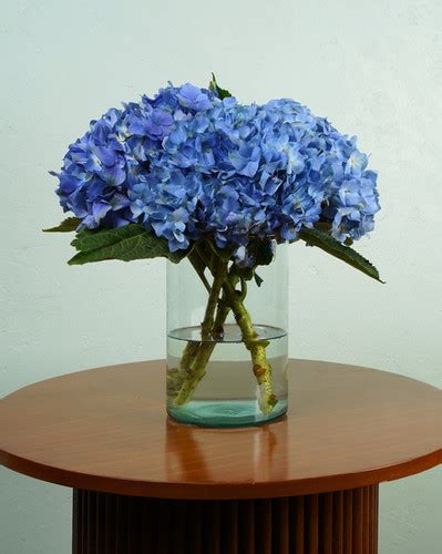 Hydrangea Floret