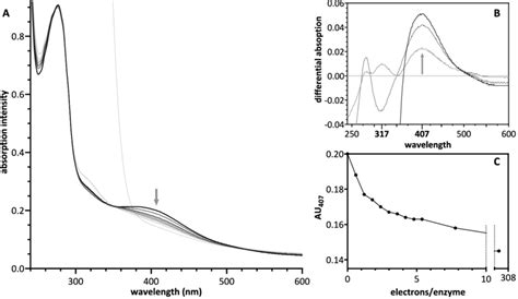 Uv Vis Spectra Of Mbr Tcl And Titration With Dithionite A Absorption