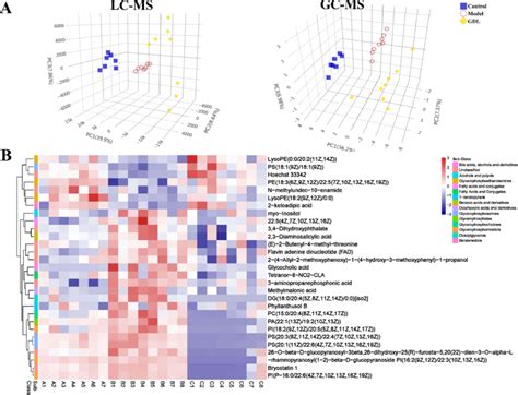 A Pls Da Score Plots Of Three Groups By Lc Ms And Lc Ms B Download Scientific Diagram