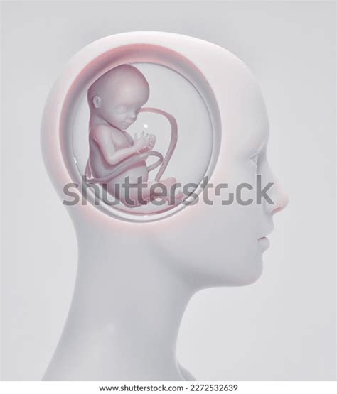 Fetus Human Head Pregnancy Planning New Stock Illustration 2272532639