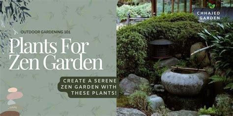 The Best Plants For A Zen Garden Creating A Relaxing Outdoor Space