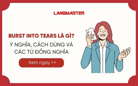 Set Up LÀ GÌ CẤu TrÚc CÁch DÙng VÀ BÀi TẬp VẬn DỤng