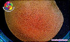 Seed Sowing Technique