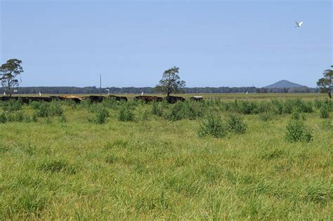 The Science Behind Herbicides How Different Groups Tackle Weeds