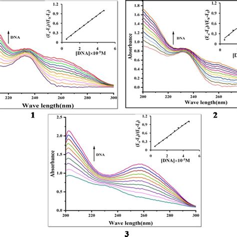 The Graphs Of Log F0 F F Versus Log Complex For Binding Of 13 Download Scientific Diagram