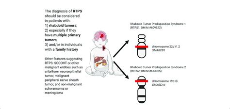 rtps tumors spectrum and related genes involved download