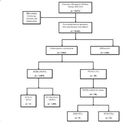 A Flow Chart Of Specimen Collection And Mycobacterial Isolation Download Scientific Diagram