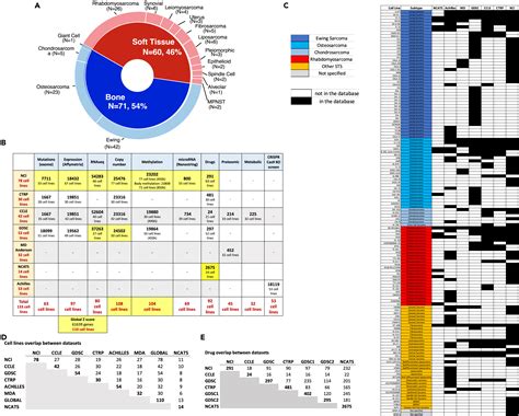Sarcomacellminercdb A Tool To Interrogate The Genomic And Functional