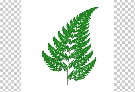 Barnsley Fern Fractal Iterated Function System Chaos Theory Png Clipart Affine Transformation