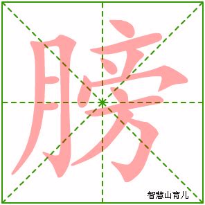 肩的笔顺 本的笔顺 老的笔顺 第16页 大山谷图库