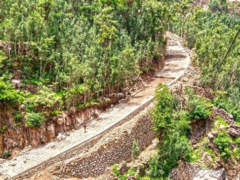 Bfd Ffa Infographic 2022 En Bfd Yemen