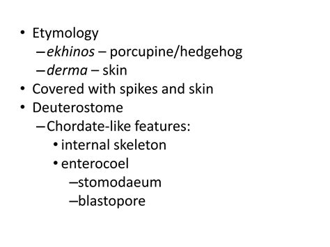 Solution General Zoology Phylum Echinodermata Studypool