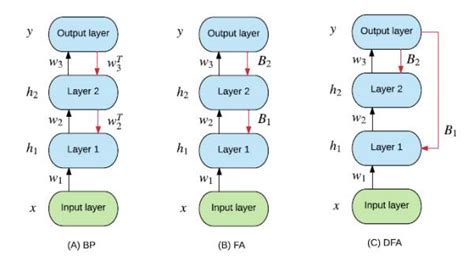 深度神经网络 Dnn 是否模拟了人类大脑皮层结构？ 集智俱乐部