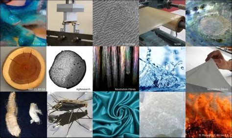 What Does Predict Mean In Science An In Depth Look Jamie Foster Science