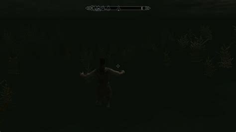 Odd Graphics Issue By Solitude Skyrim Technical Support LoversLab