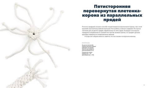 Книга узлов (Винди Чьен) — купить в МИФе