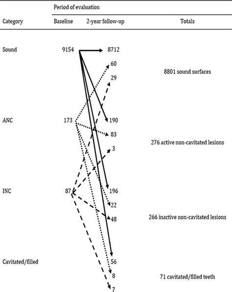 Caries Lesions Transition Patterns For Sound Surfaces And Active Download Scientific Diagram