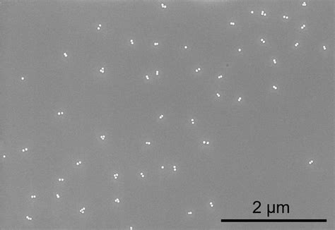Fe‐sem Image Of Silicon Chip Used In Sers Analysis For Molecular